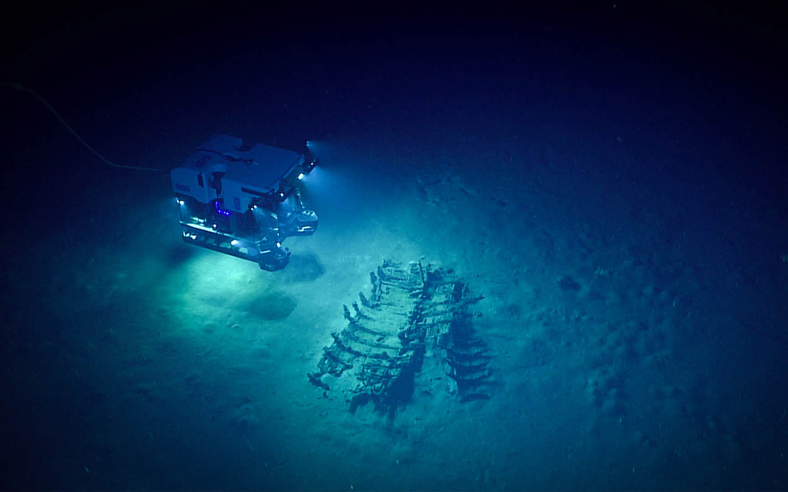 MSU led Northern Gulf Institute Receives Up To 86 Million From NOAA