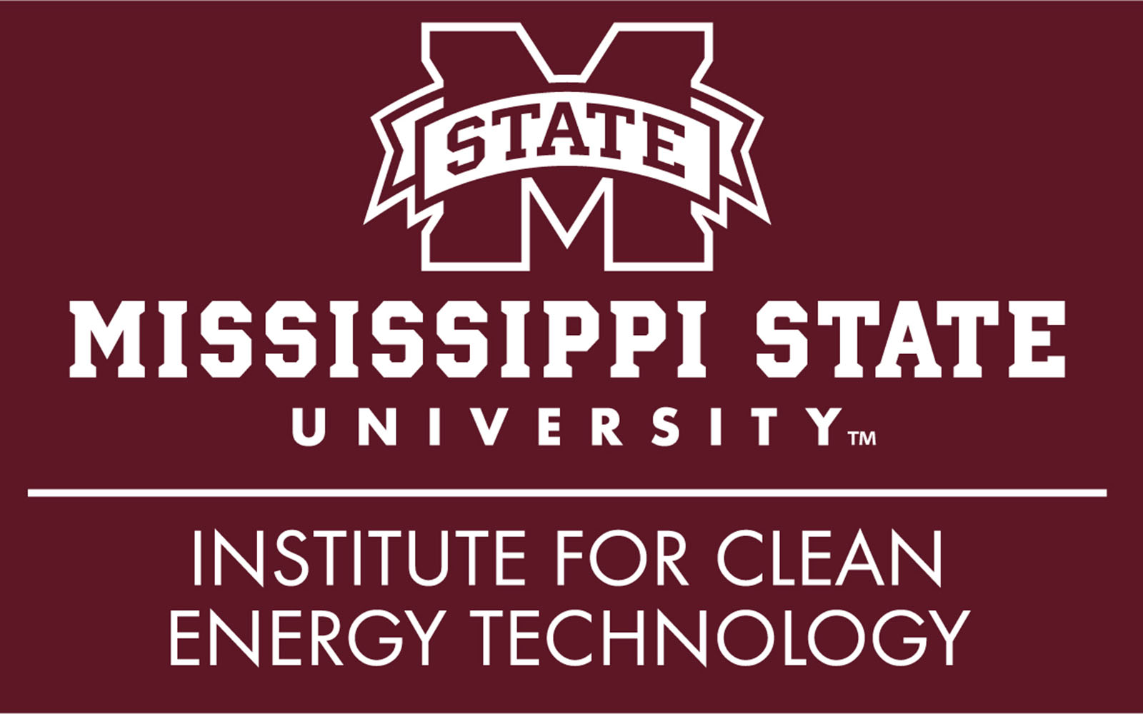 Mississippi Energy Institute