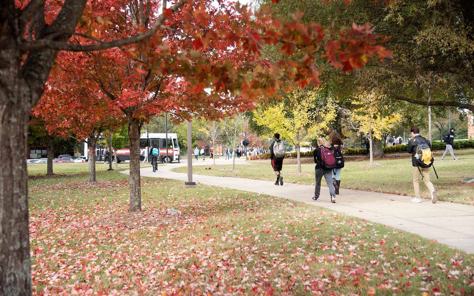 A message about campus trees and safety | Mississippi State University