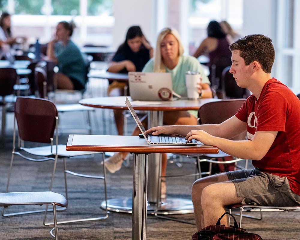 MSU faculty, students make transition to all online learning ...