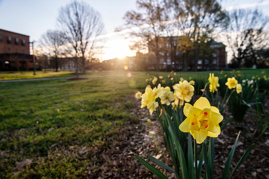 Signs of spring | Mississippi State University