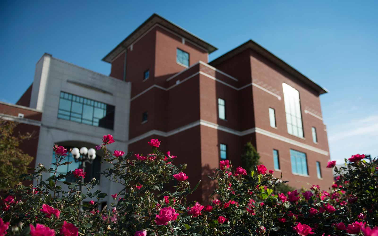 Mitchell Memorial Library remains open with limited services available ...