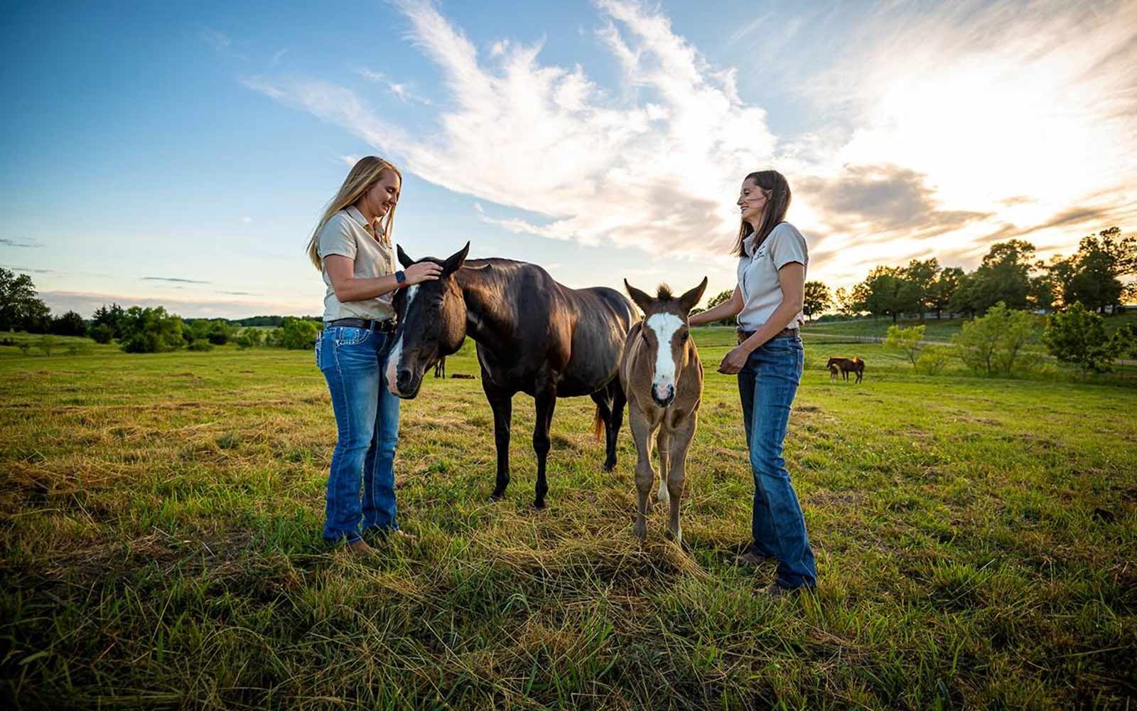 For MSU Equine Unit employees, foaling season offers solace during ...