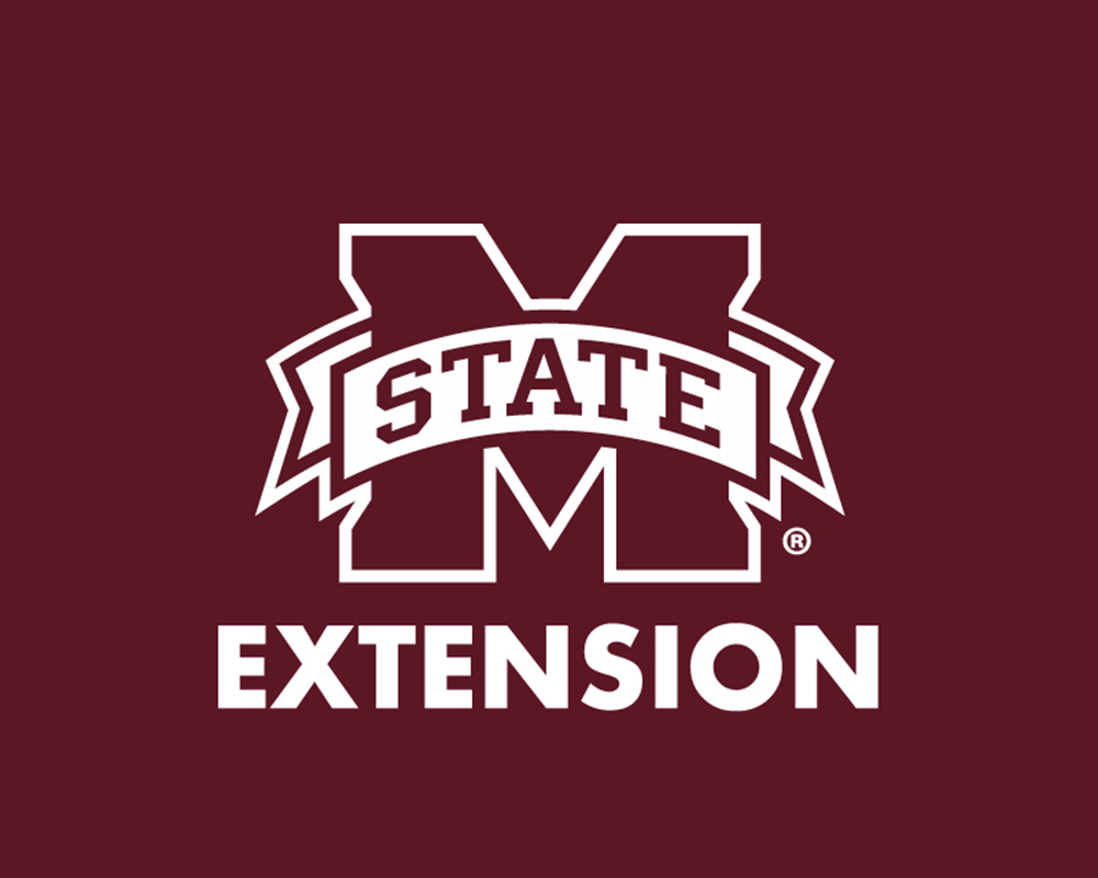 ‘Extension Engage!’ webinars available on Canvas | Mississippi State ...