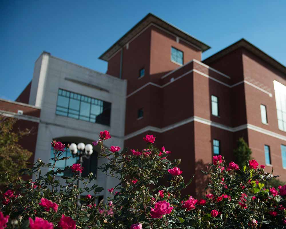 MSU Libraries updates operational plans | Mississippi State University