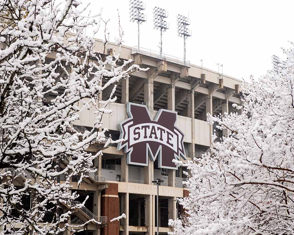 MSU closes campus, moves classes online for Tuesday, Feb. 16 due to ...