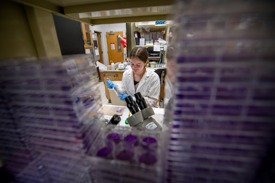 Getting in the Lab | Mississippi State University