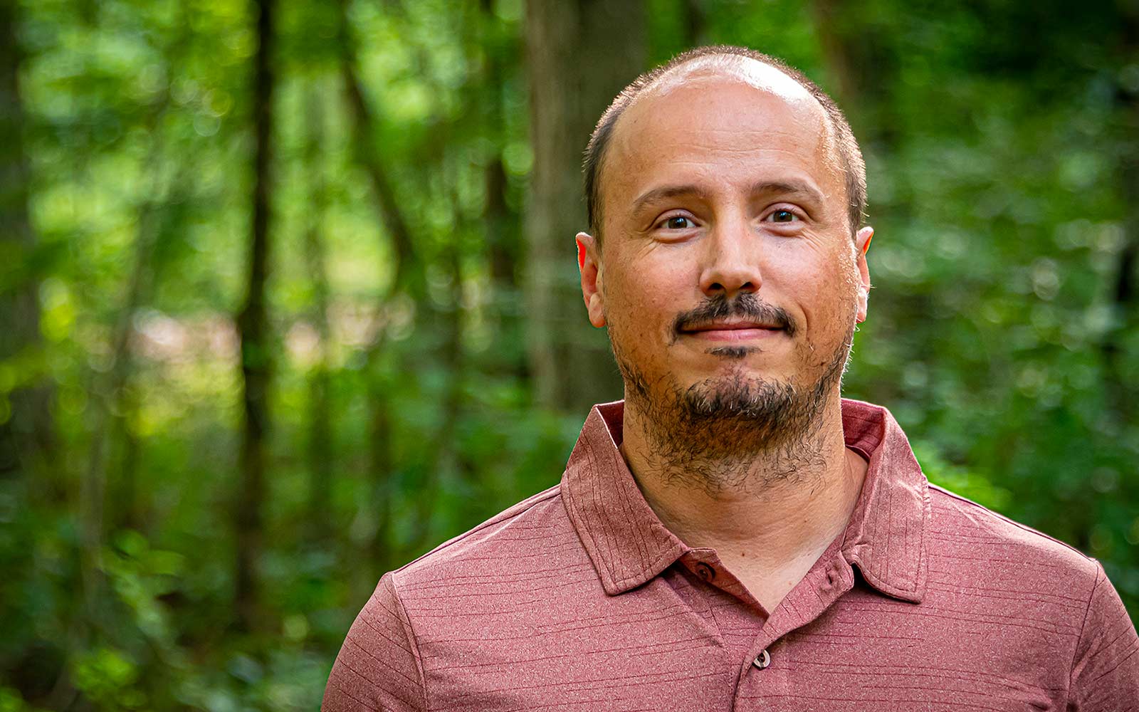 MSU creates precision tool to improve forest management | Mississippi ...