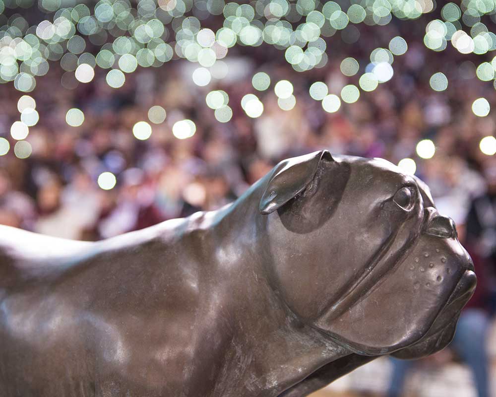 MAROON AT MIDNIGHT: Admissions Application for Fall Opens August 1 ...