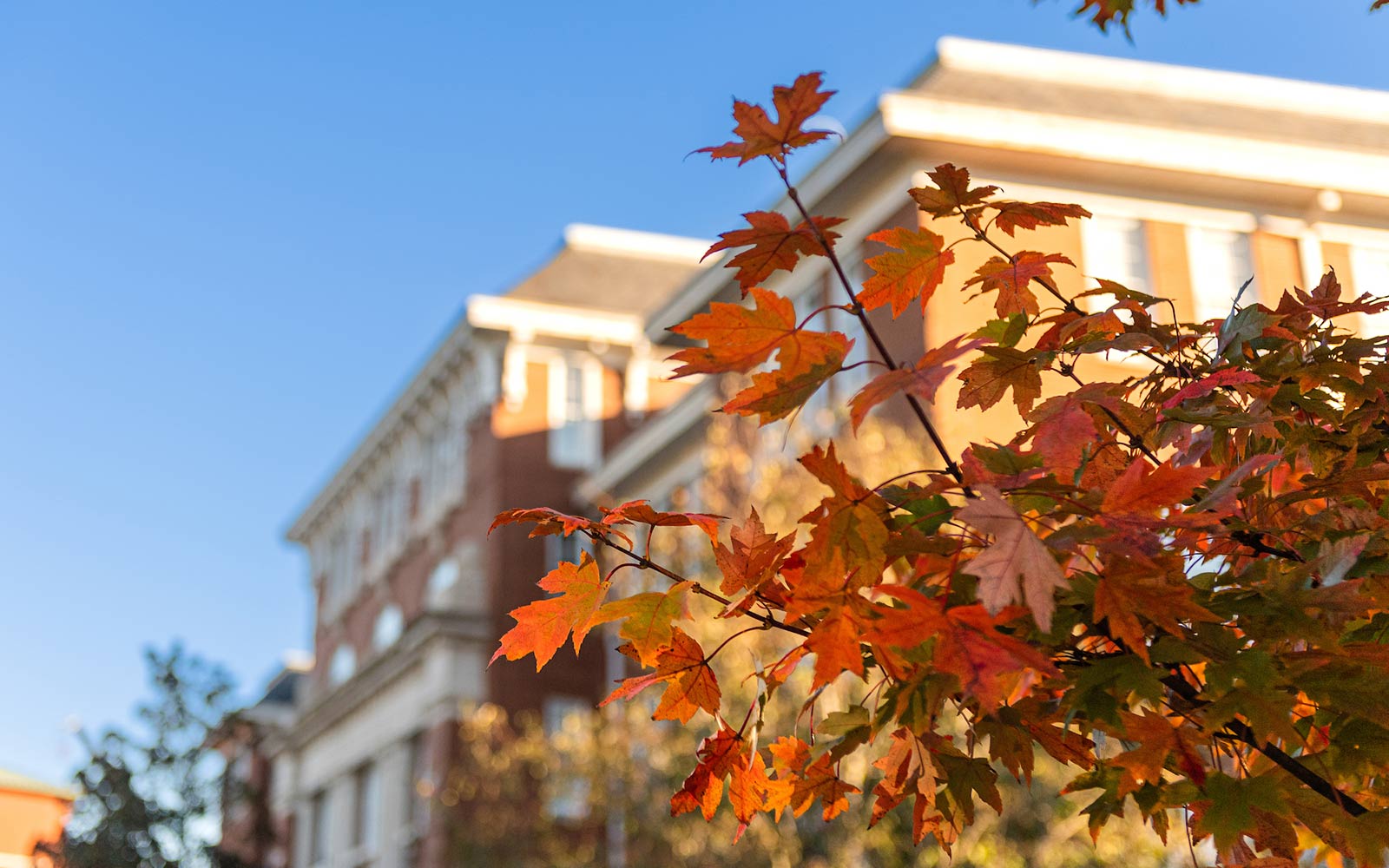 MSU announces Thanksgiving holiday closure | Mississippi State University