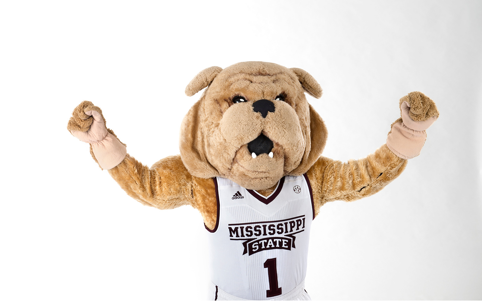 Special ticket offers available this week for Bulldog Basketball ...