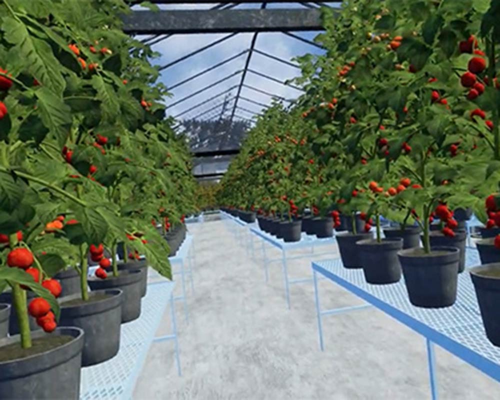 MSU students grow innovative virtual plants, harvest real knowledge ...