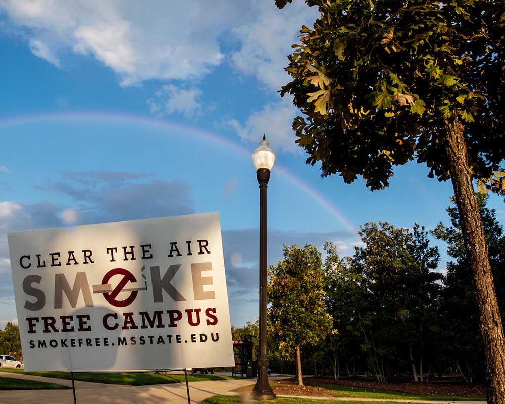 MSU offers smoking cessation programs to students, faculty ...