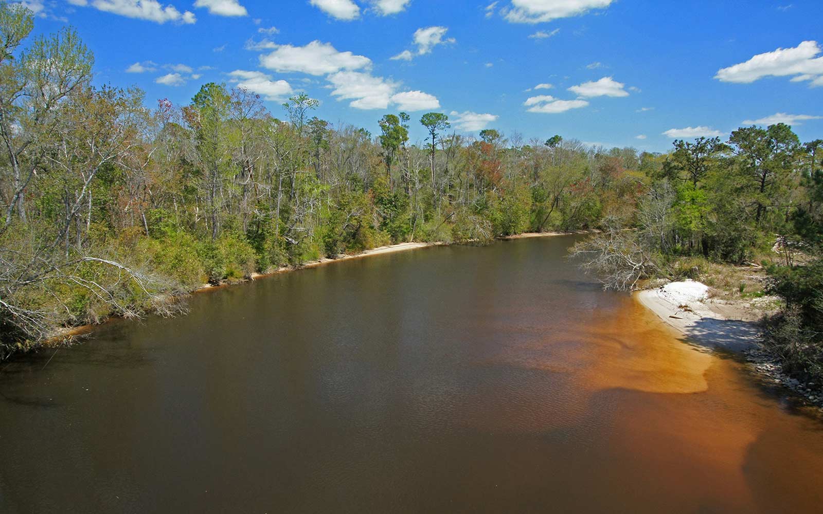 MSU’s Forest and Wildlife Research Center to lead management of vital ...