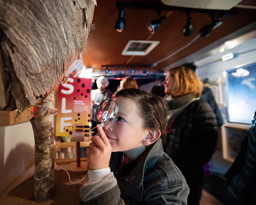 MSU’s annual Science Night at the Museums returns with scientific ...