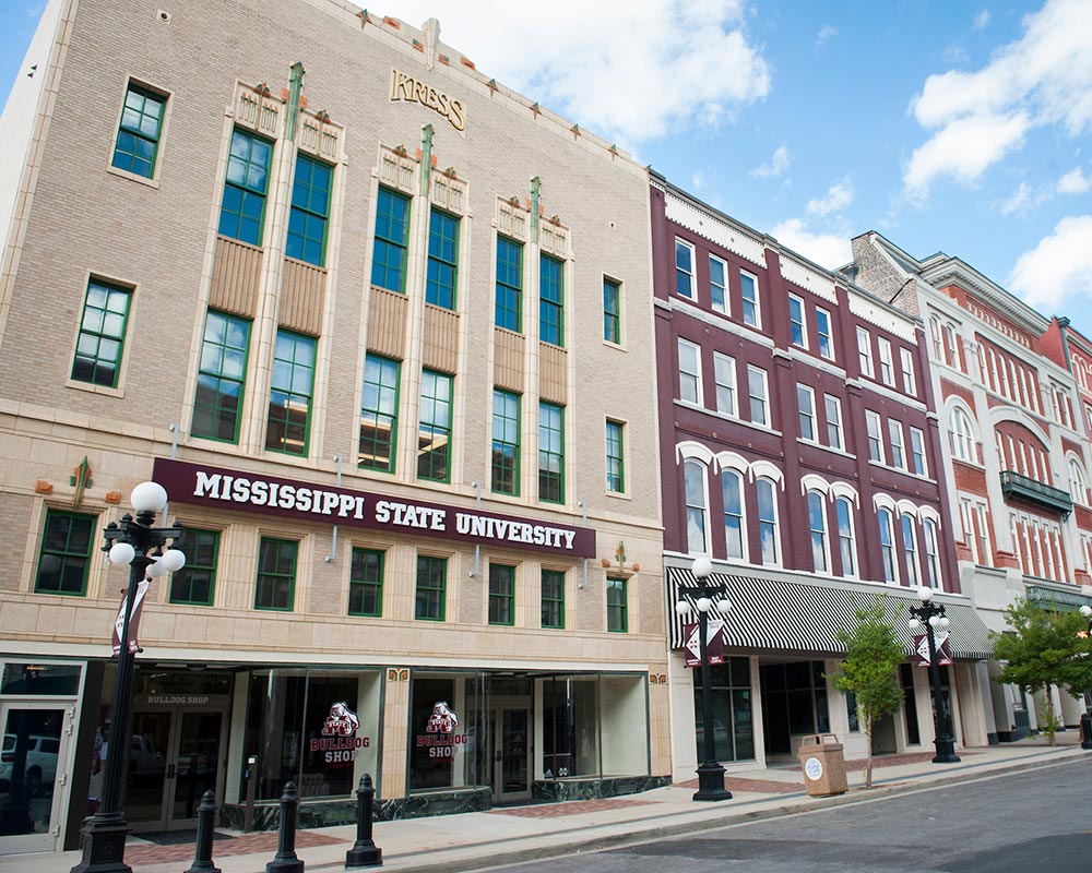 MSU-Meridian proposal for accelerated master’s degree nursing program ...