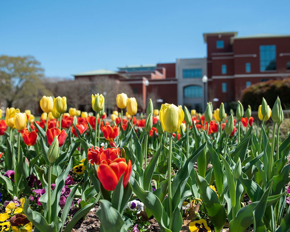 Registration open for MSU Spring Preview Days Feb. 20, March 27 ...