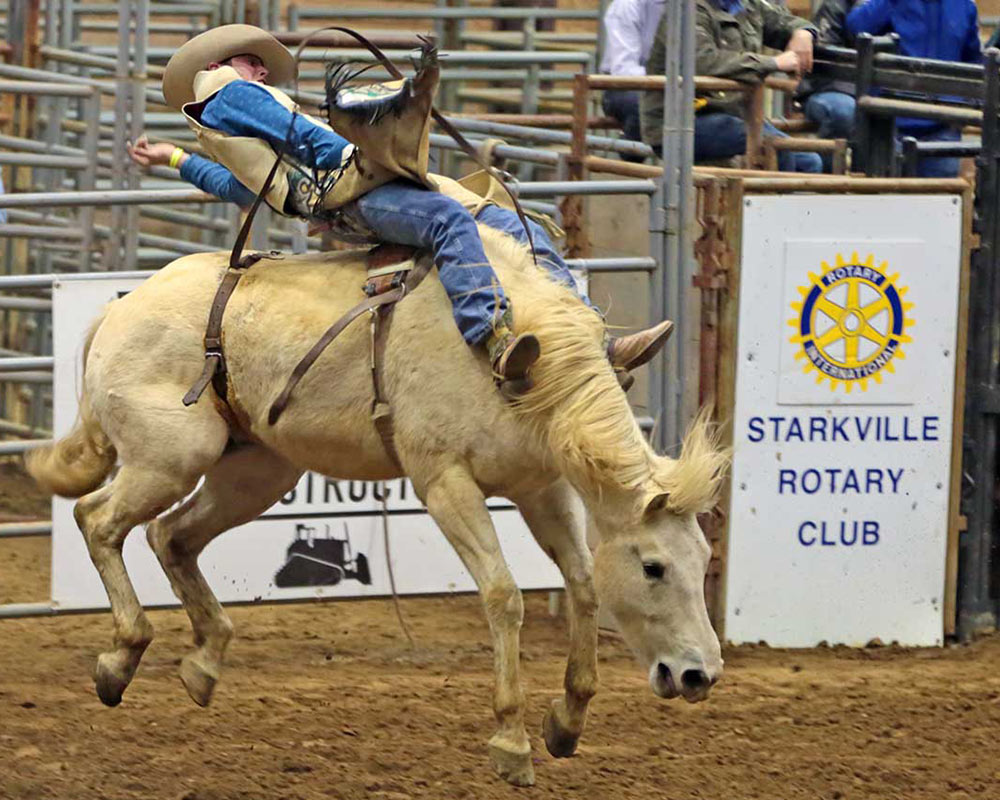 Mississippi Horse Park hosts Rotary Classic Rodeo this weekend ...
