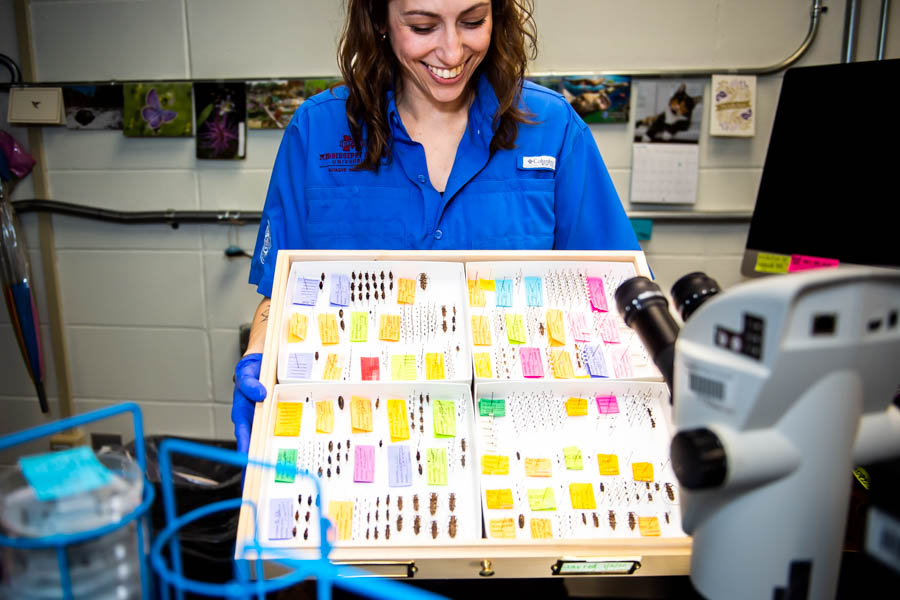 Insect Investigation | Mississippi State University