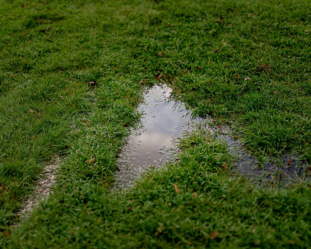 Grass Lot Closure for Saturday's Game | Mississippi State University