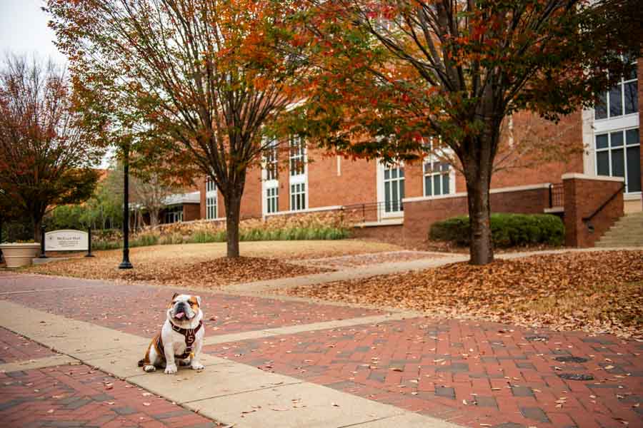 Fall Foliage | Mississippi State University
