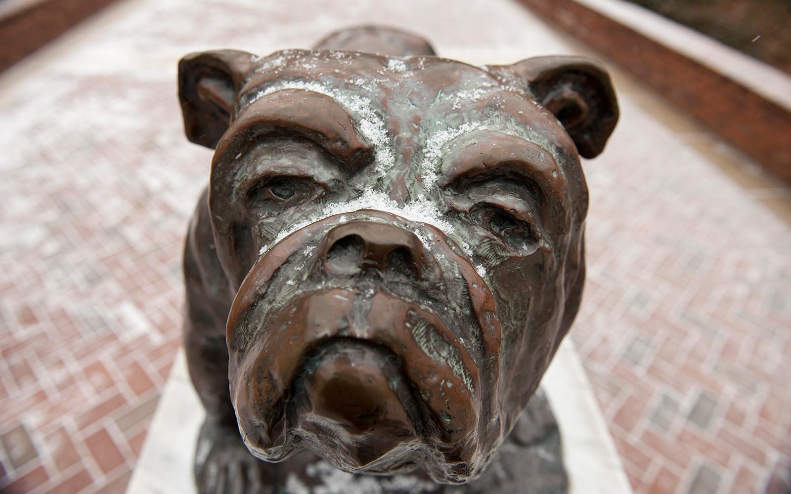 MSU to remain on remote operations on Wednesday, Jan. 17 | Mississippi ...