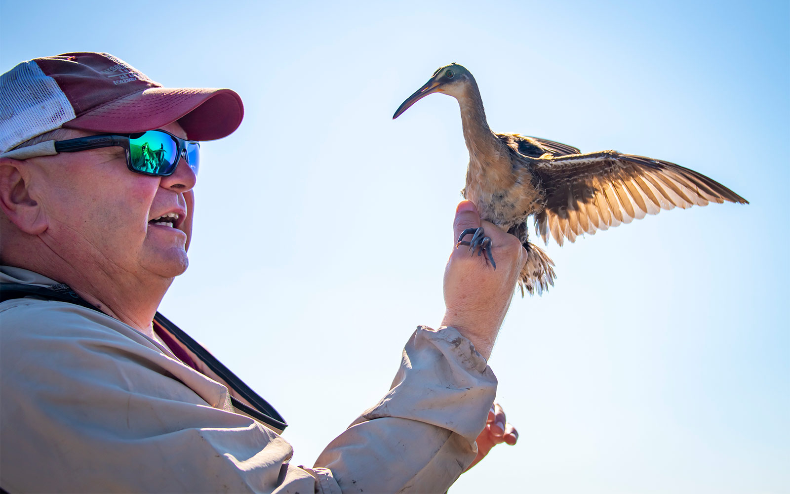 MSU ornithologist joins flock of national avian society fellows ...