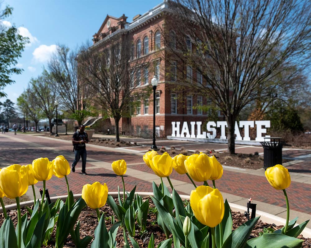 Forbes ranks MSU only SEC school in Top 50 ‘America’s Best Large ...