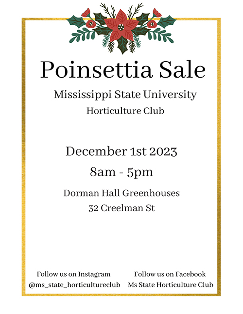 MSU Horticulture Club hosts annual holiday poinsettia sale ...