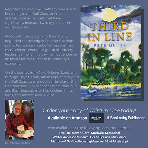 Retired MSU professor releases novel with Gulf Coast plot | Mississippi ...