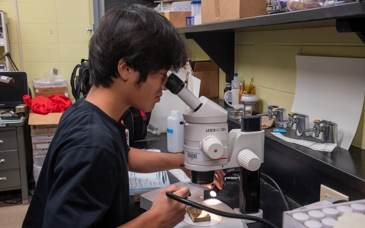 Summer research internship at MSU advances entomology work for East ...