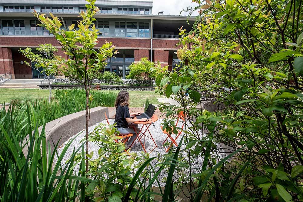 MSU’s landscape architecture department changes name to encompass environmental design ...