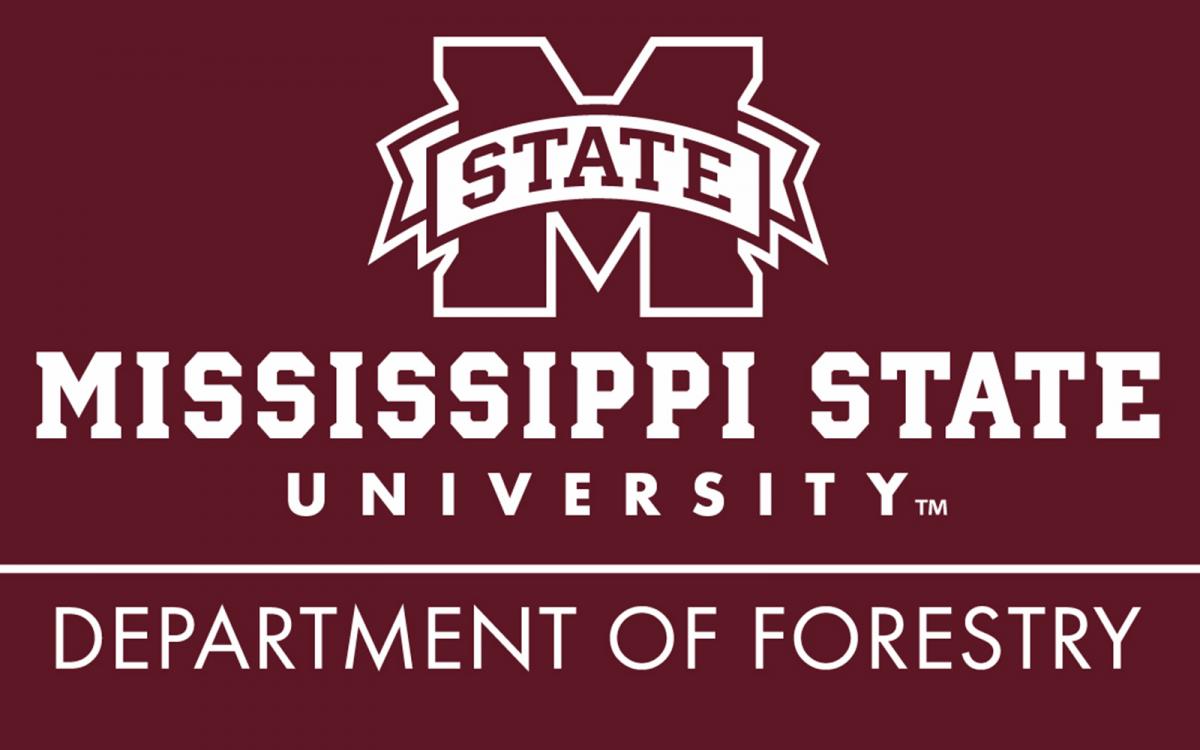 MSU graduate students, alumnus sweep national forestry research ...